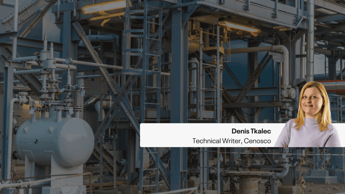 Turnaround Inspections - Cenosco