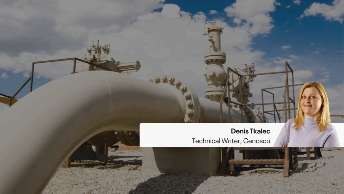 External Corrosion: Corrosion Modeling for Pipeline Integrity - Cenosco